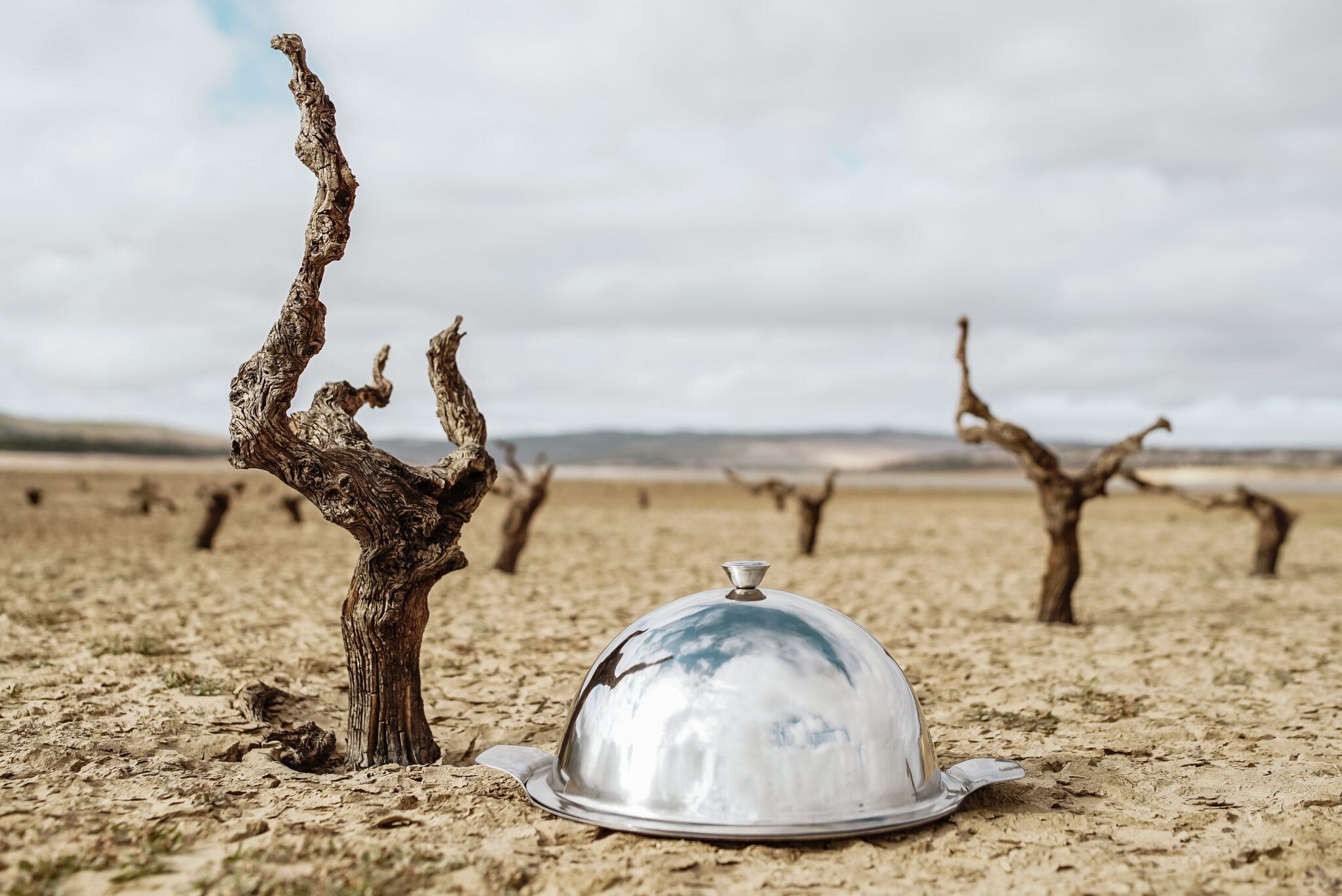 SB Format x The Climate Diet - South Africa