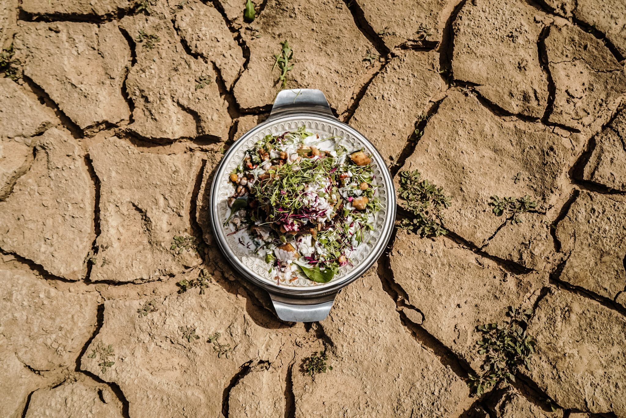 SB Format x The Climate Diet - South Africa